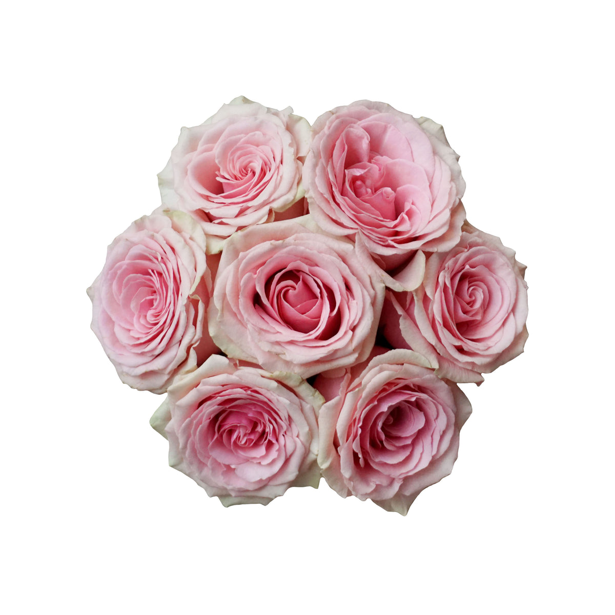 Mini Love Box of Fresh Roses | The Love Box Flowers